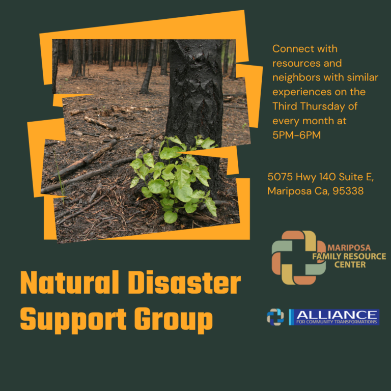 Natural Disaster Support Group Flyer (1)